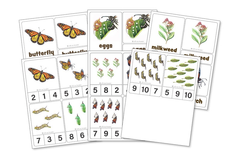MONARCH BUTTERFLY Nature Study 40 Pages, Life Cycle, Anatomy, Unit ...