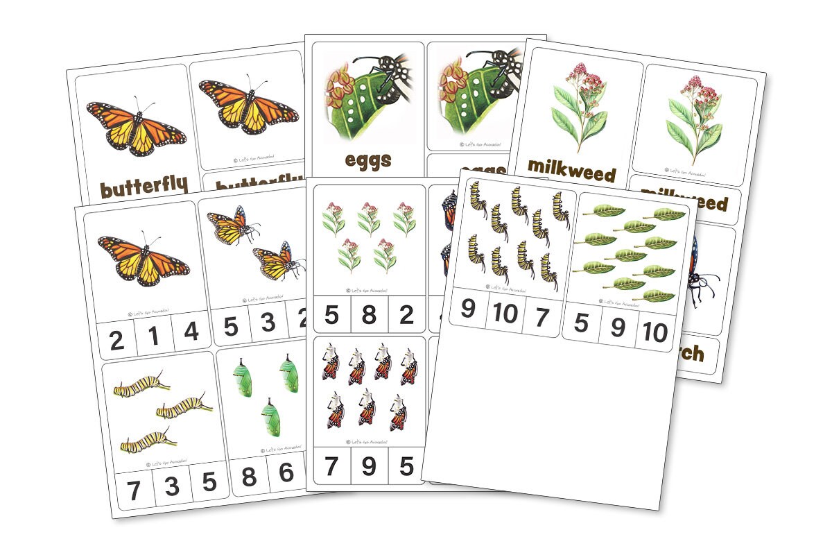 MONARCH BUTTERFLY Nature Study 40 Pages, Life Cycle, Anatomy, Unit ...