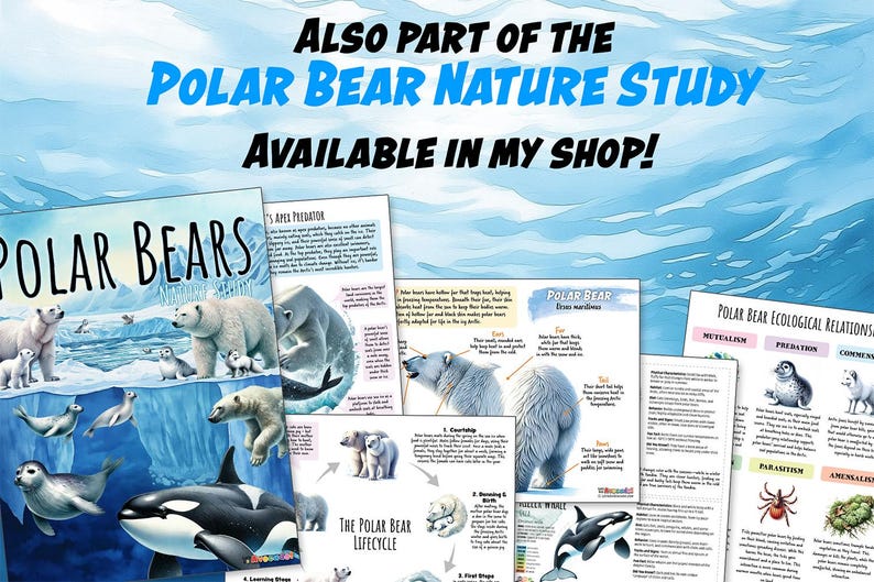 POLAR BEAR ANATOMY, Unit Study, Homeschool Printables, Anatomy, Science ...