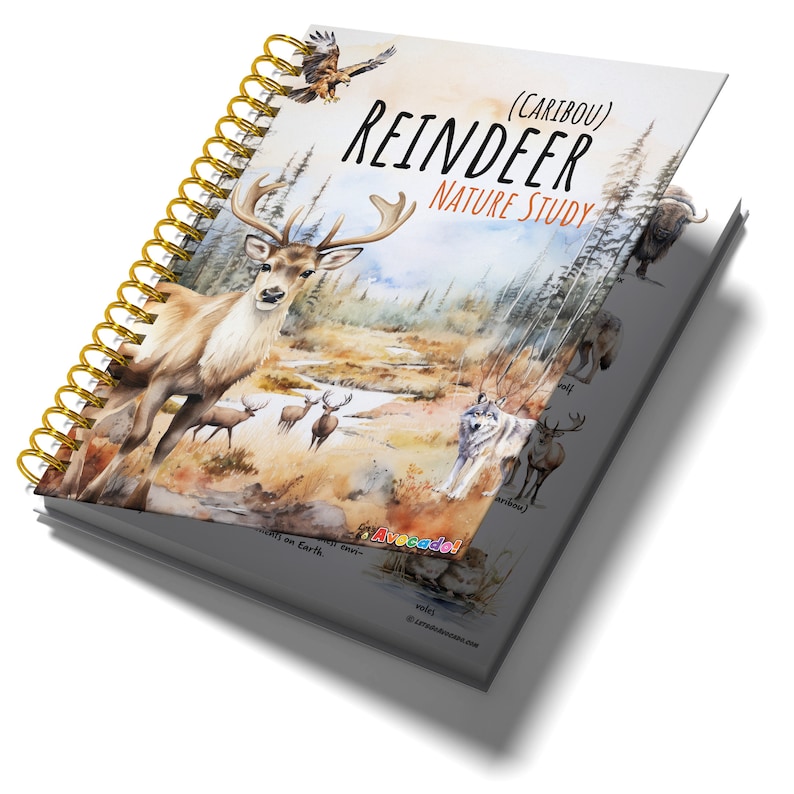 REINDEER Caribou Nature Unit Study, Printables, Lifecycle, Migration ...