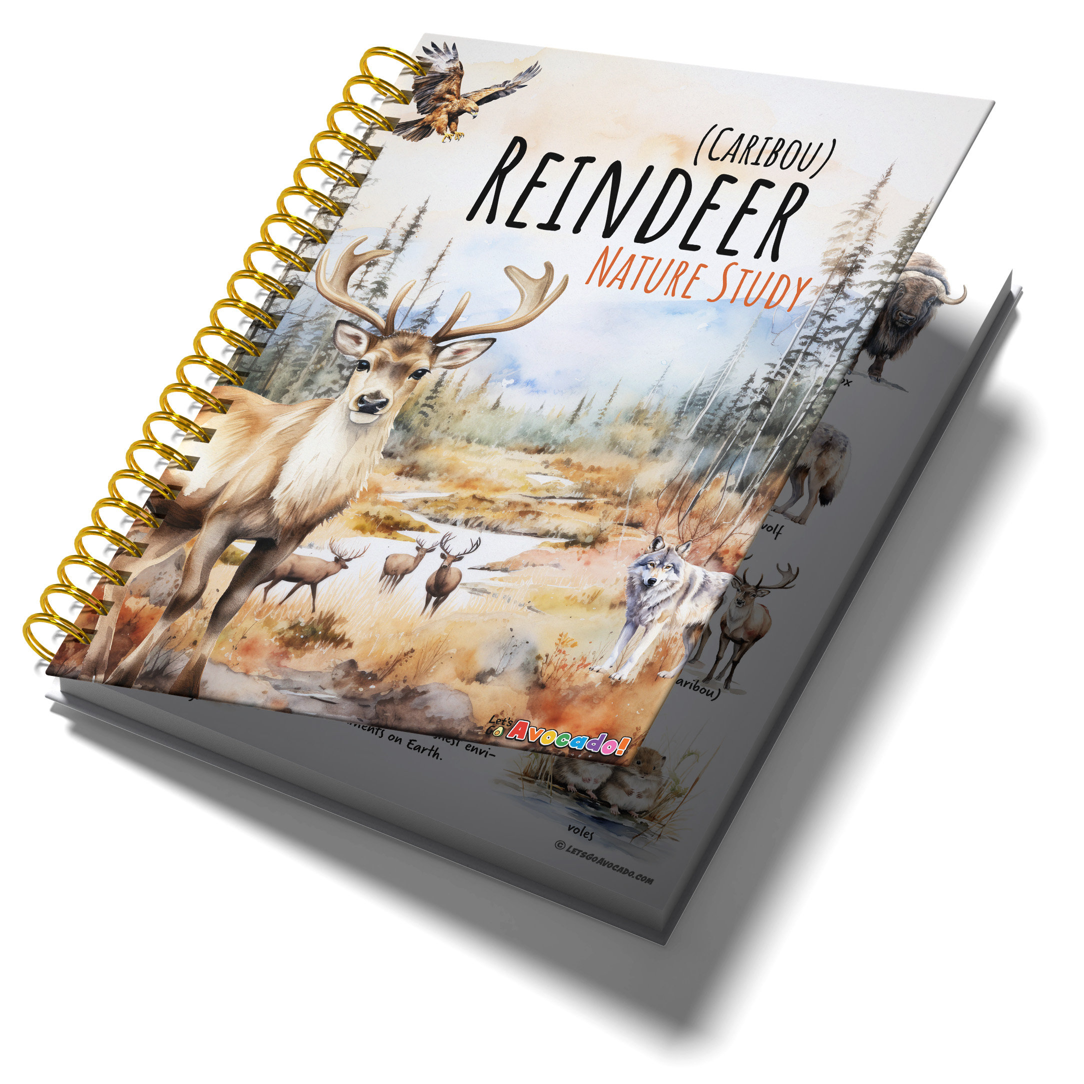 REINDEER Caribou Nature Unit Study, Printables, Lifecycle, Migration ...