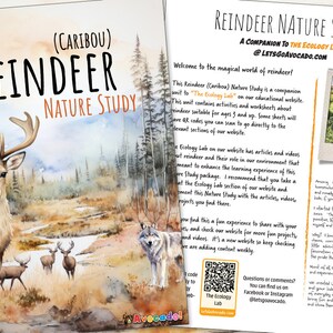 REINDEER Caribou Nature Unit Study, Printables, Lifecycle, Migration ...