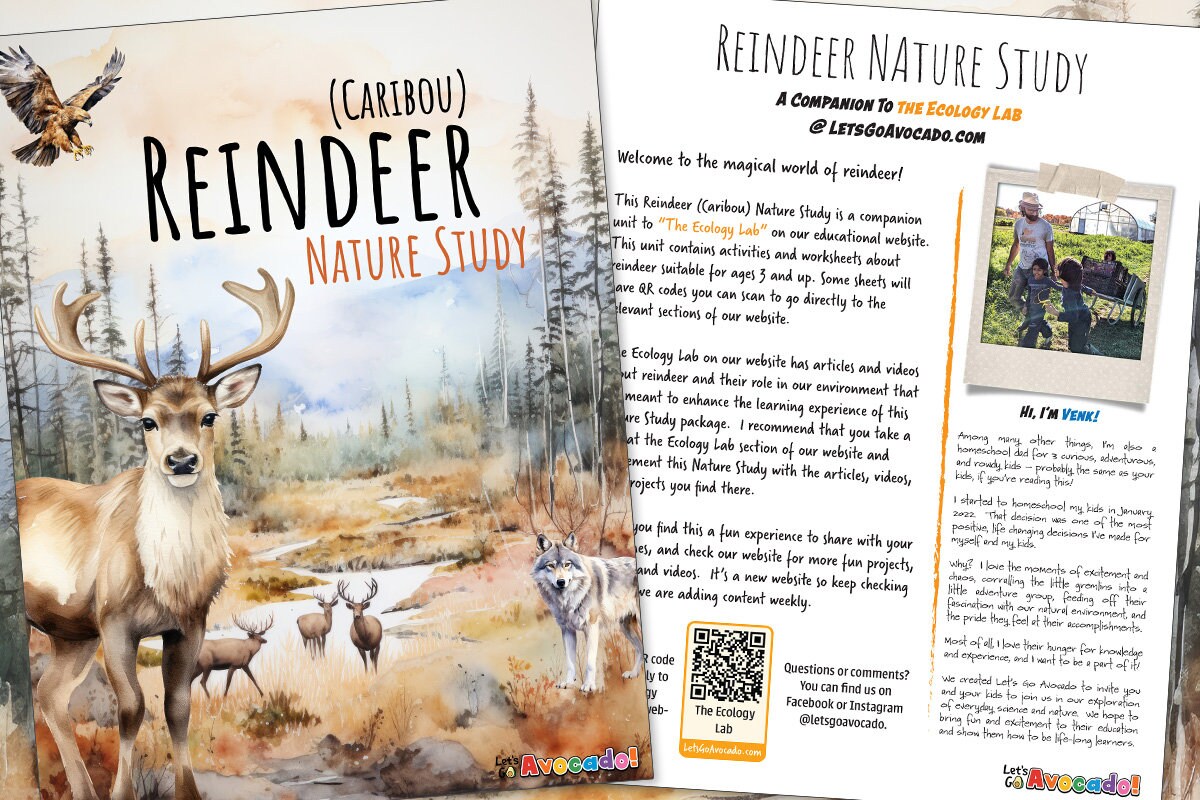 REINDEER Caribou Nature Unit Study, Printables, Lifecycle, Migration ...