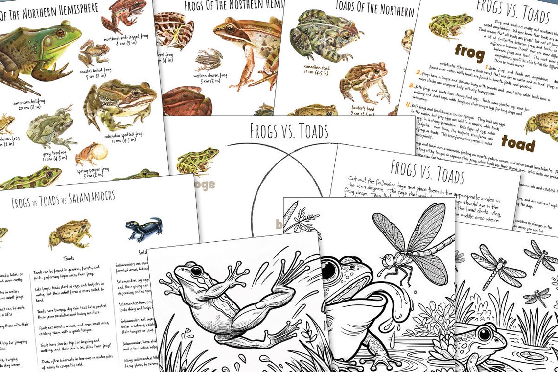 FROG and TOAD Nature Unit, HUGE Printables Collection, Life Cycle ...