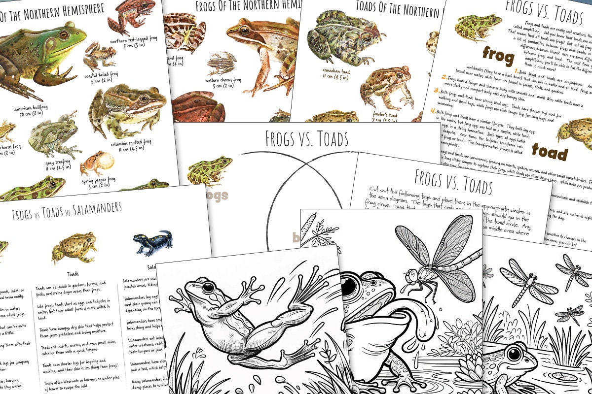 FROG and TOAD Nature Unit, HUGE Printables Collection, Life Cycle ...