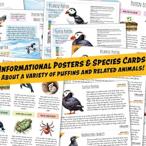 PUFFINS NATURE STUDY Unit, Homeschool Printables, Unit Study, Life ...
