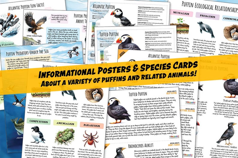 PUFFINS NATURE STUDY Unit, Homeschool Printables, Unit Study, Life ...