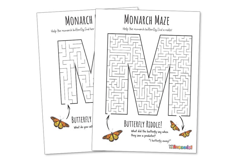 MONARCH BUTTERFLY Nature Study 40 Pages, Life Cycle, Anatomy, Unit ...