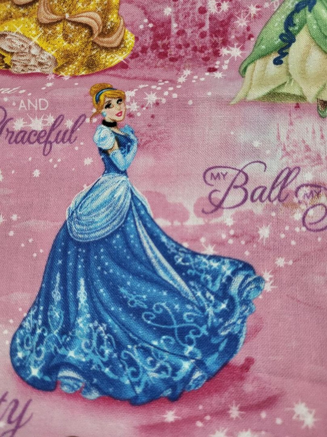 Pink Princess Fabric 1 Yard End of a Project Cinderella Belle Aurora ...
