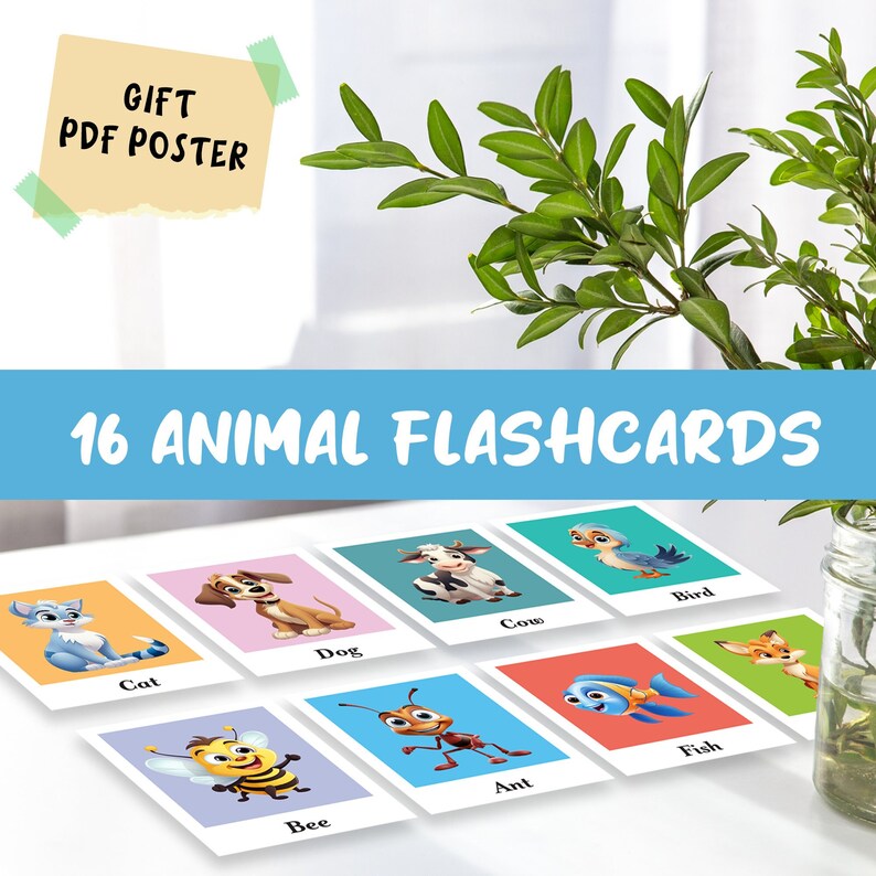 16 Animals Flashcards - Etsy