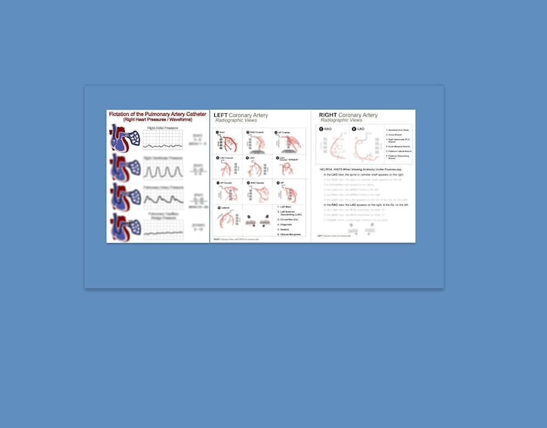 BUNDLE - Coronary Artery Radiographic Views & Right Heart Cath ...