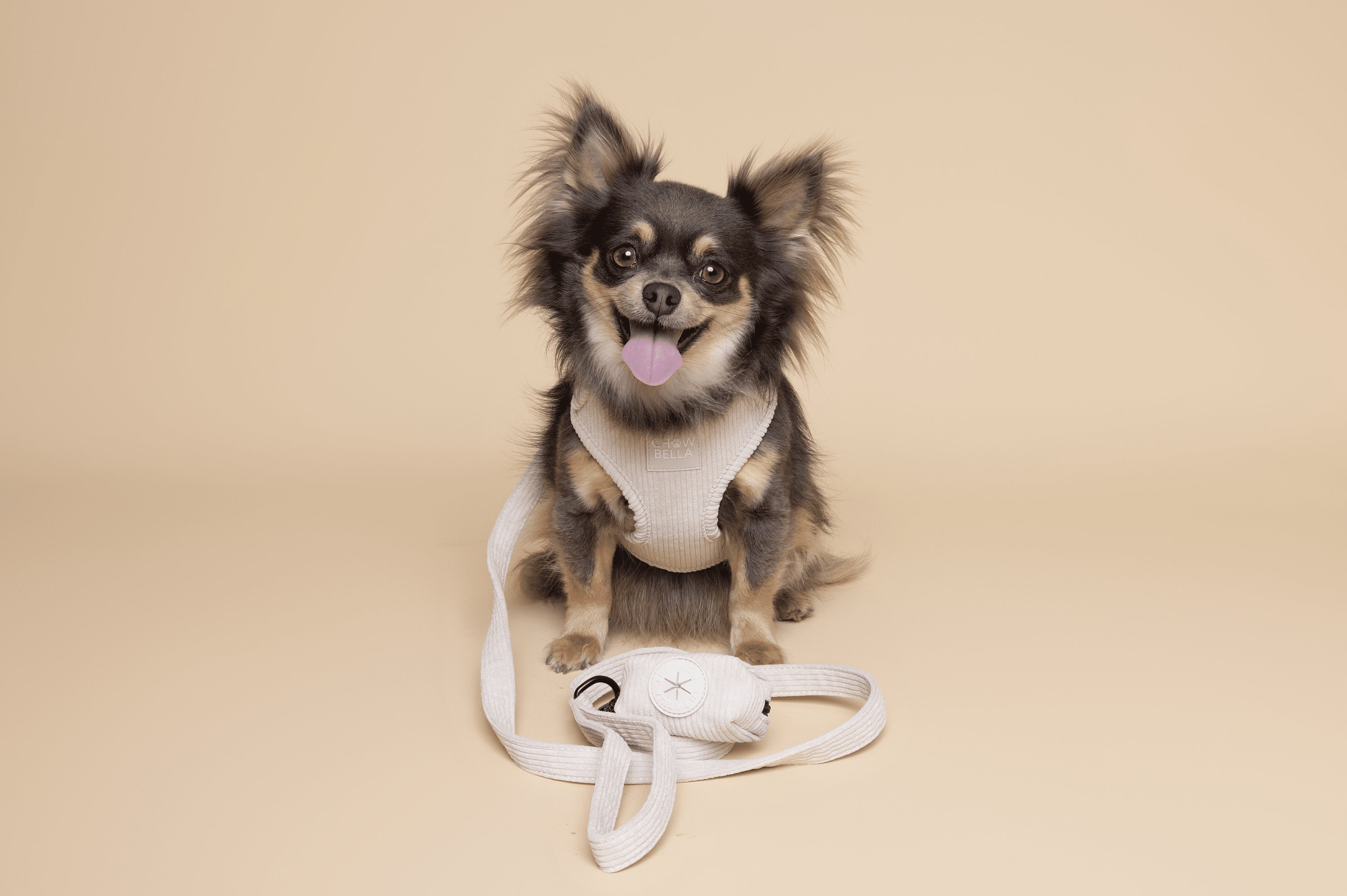 Beige Cream Dog Matching Corduroy Set Harness Adjustable Cream Leash ...