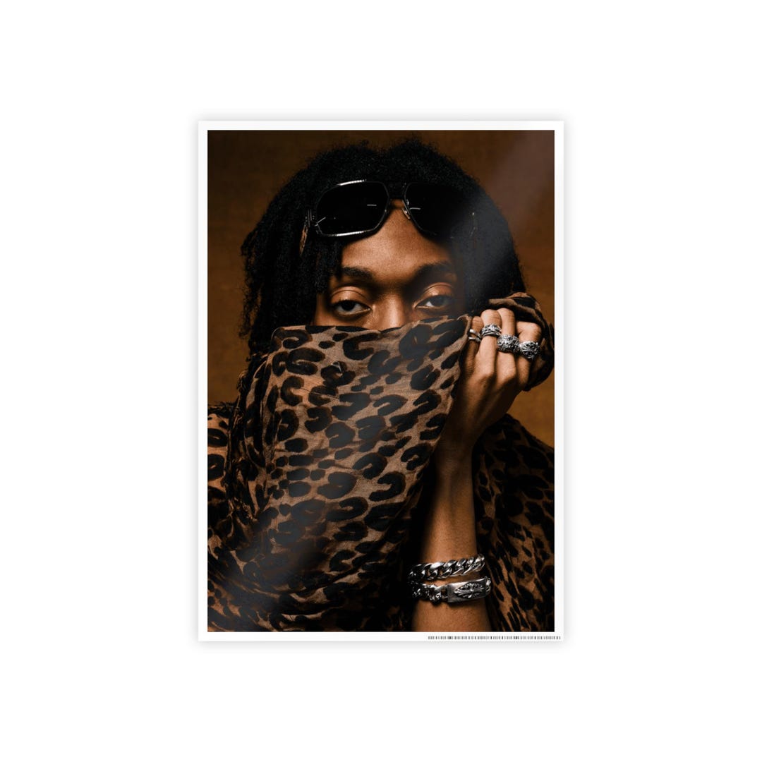 Lil Tecca - Plan A Album Cover Gloss Poster Wall Art - Etsy