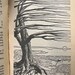Ray Bradbury's the October Country Short Story Collection, 1975 Edition ...