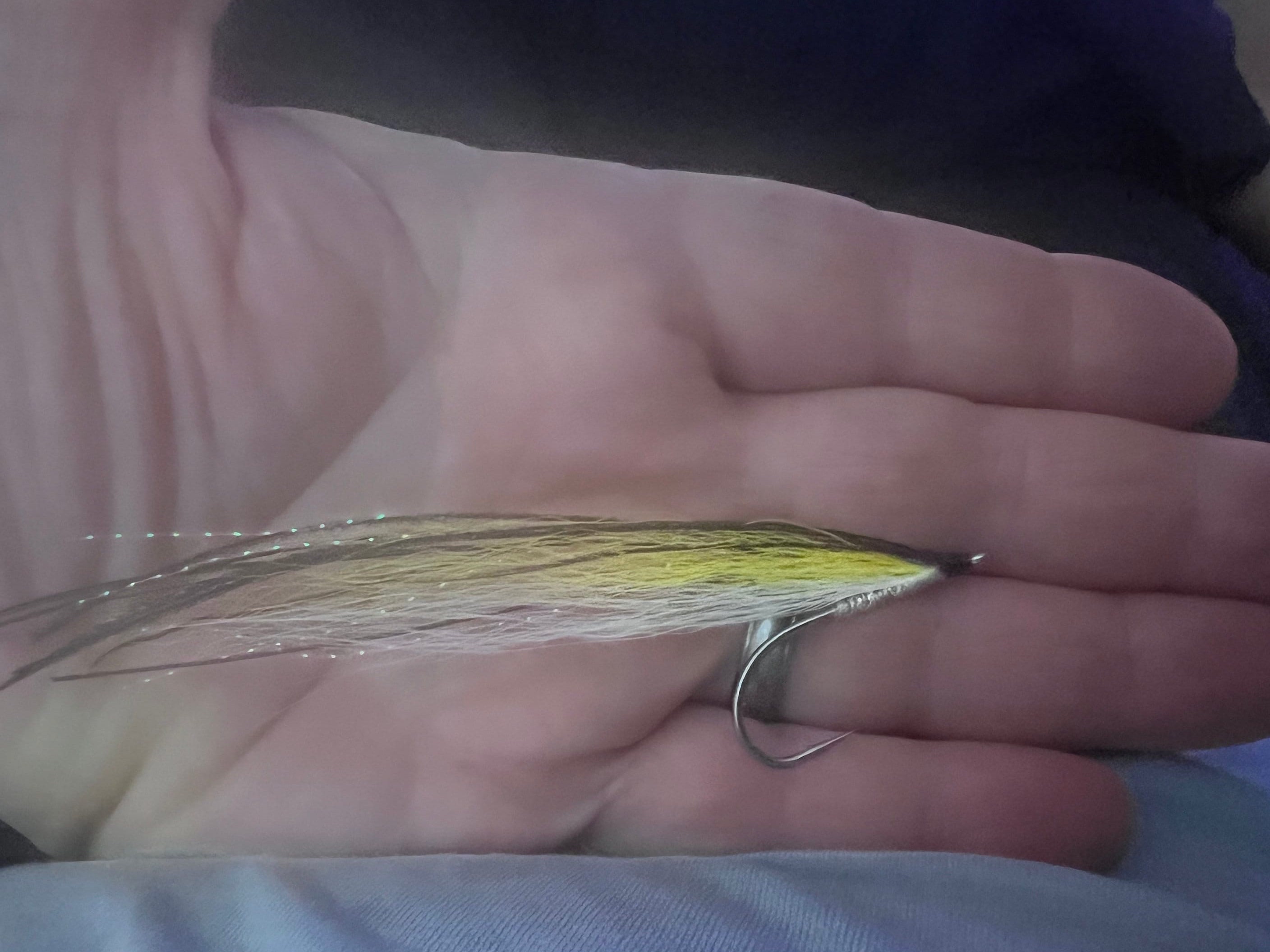 Ray’s Fly - Etsy
