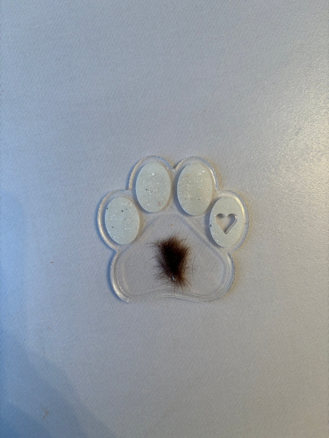 Paw Print Memorial Keepsake - Etsy