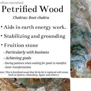 Petrified Table Top, Home Decor, Petrified Wood Dining Table, Handmade ...