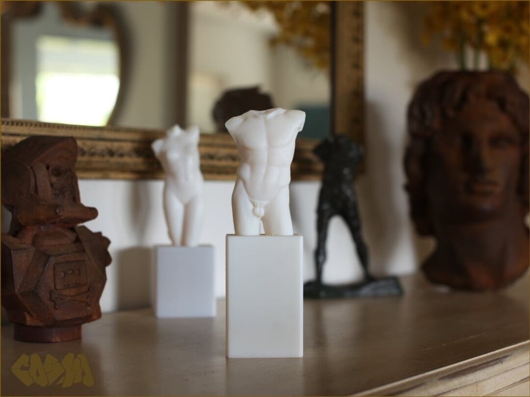 Male Torso - Home Decor - Etsy