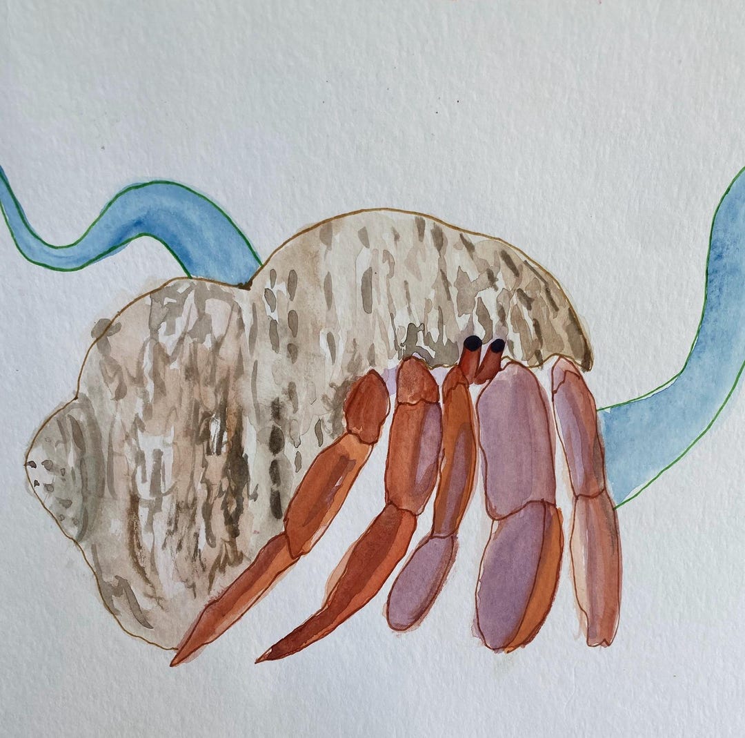 Hermit Crab Watercolor Painting Gift for Hermit Crab Lover Handmade ...