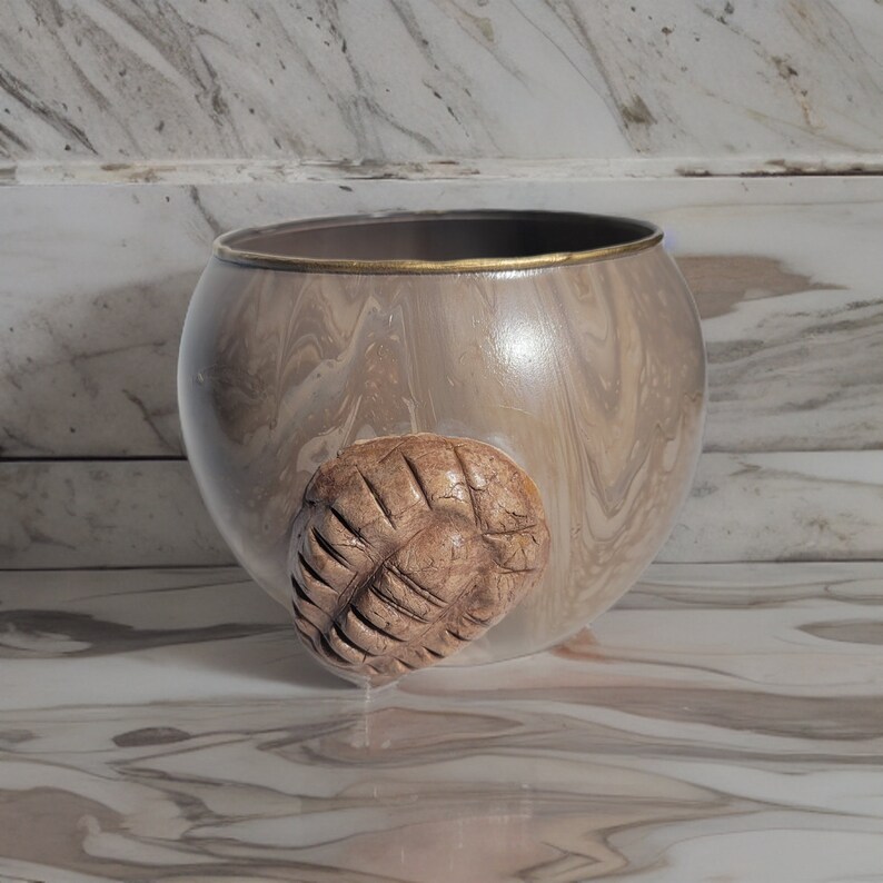 Trilobite Fossil Replica Glass Vase Handmade Dinosaur and Paleontology ...