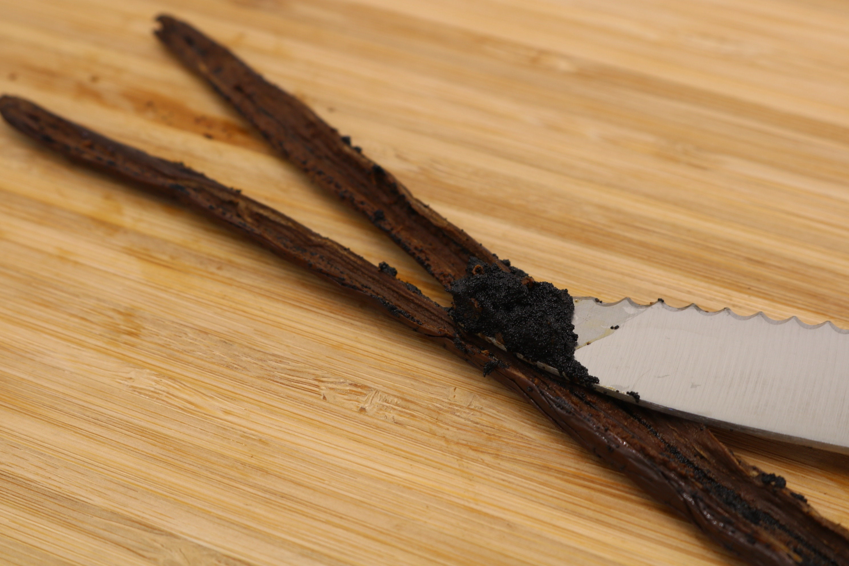 Lot of 10 Bourbon Vanilla Pods From Madagascar Gourmet Quality Grade A ...