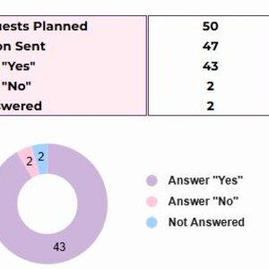 Wedding Guest Tracker for Google Sheets, Wedding Planner, Guest List ...