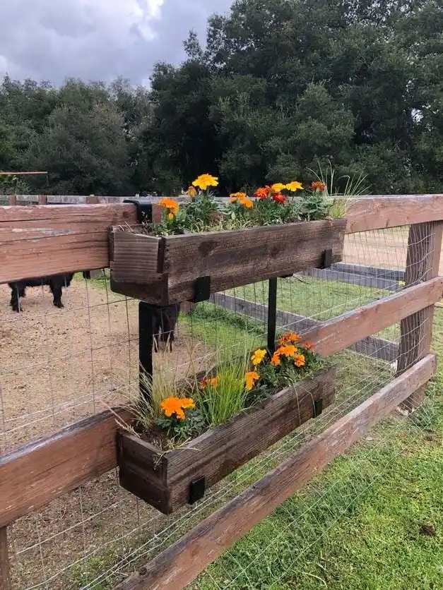 Garden Hanger the Box Stacker for 2 Inch Fences Hang Your Favorite ...