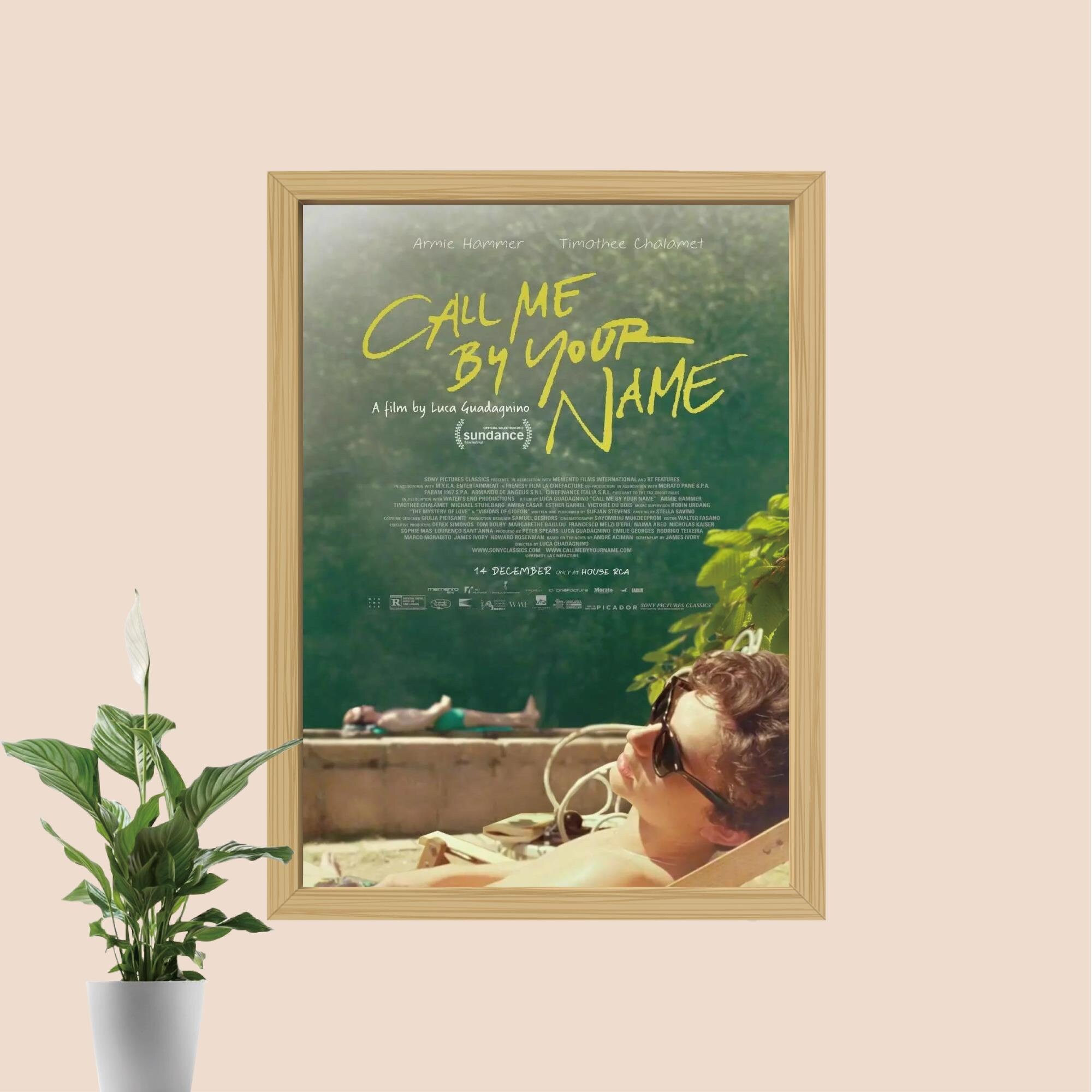 Call Me by Your Name Movie Poster sold by Fund Vulnerable | SKU 92368606 | 45% OFF Printerval