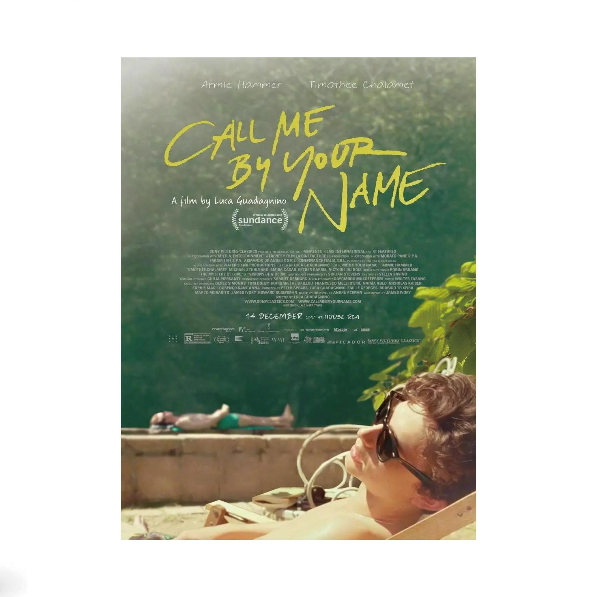 Call Me by Your Name Movie Poster sold by Fund Vulnerable | SKU 92368606 | 45% OFF Printerval