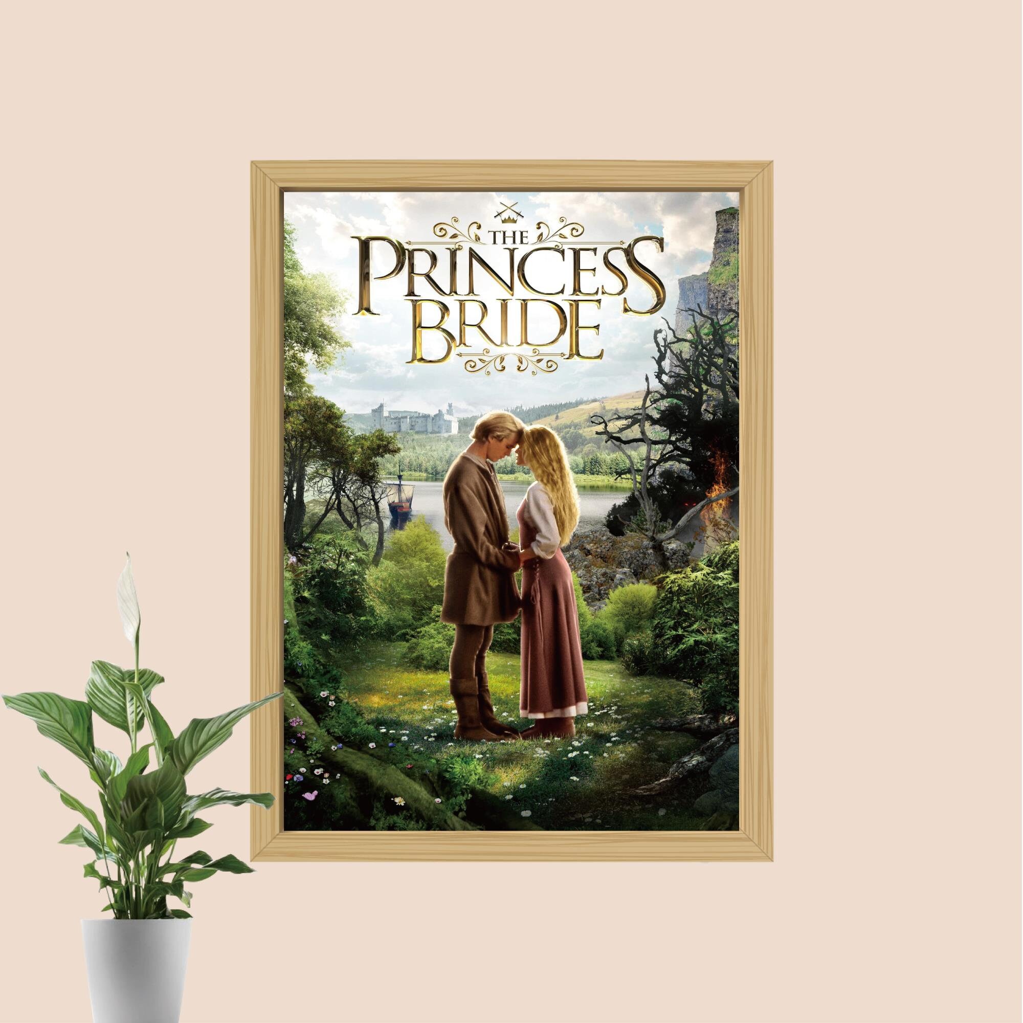The Princess Bride Movie Poster Print, Canvas Wall Art, Room Decor ...