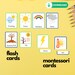Digital Weather and Seasons Learning Unit: Mini Book, Flash Cards ...