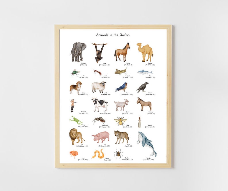 Printable Animals in Quran Islamic Posters Islamic Nursery Islamic ...