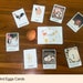 Bird & Chicken Lifecycle Learning Bundle and Flash Cards: Homeschool ...
