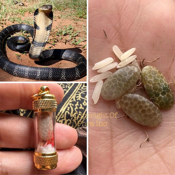 Buy Nagamani Snake Stone Online In India - Etsy India