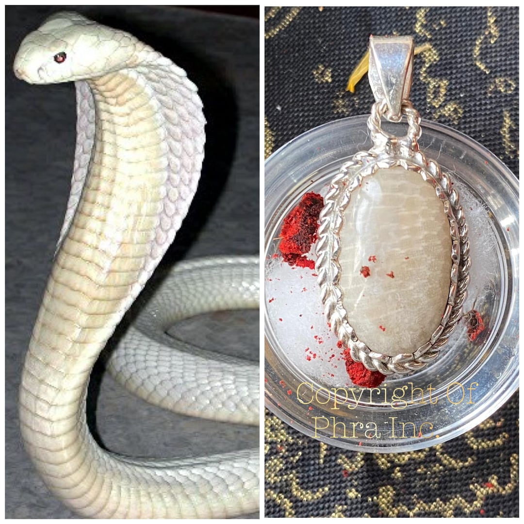 Rare White Cobra Pearl (nagamani) - Authentic Cobra Snake Stone Pendant ...