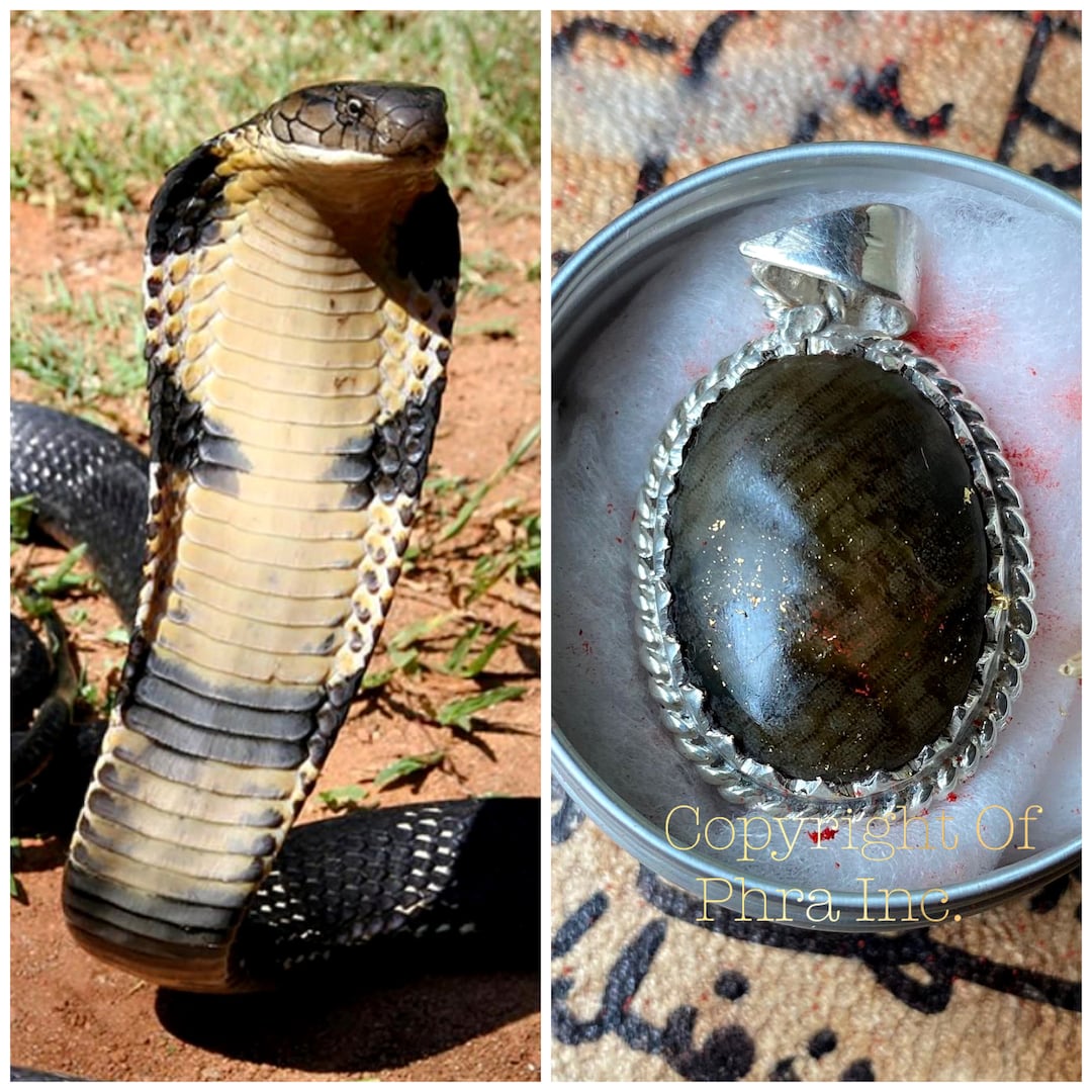 Rare Black Cobra Pearl nagamani Geliga Ular Tudong Mystical Cobra ...