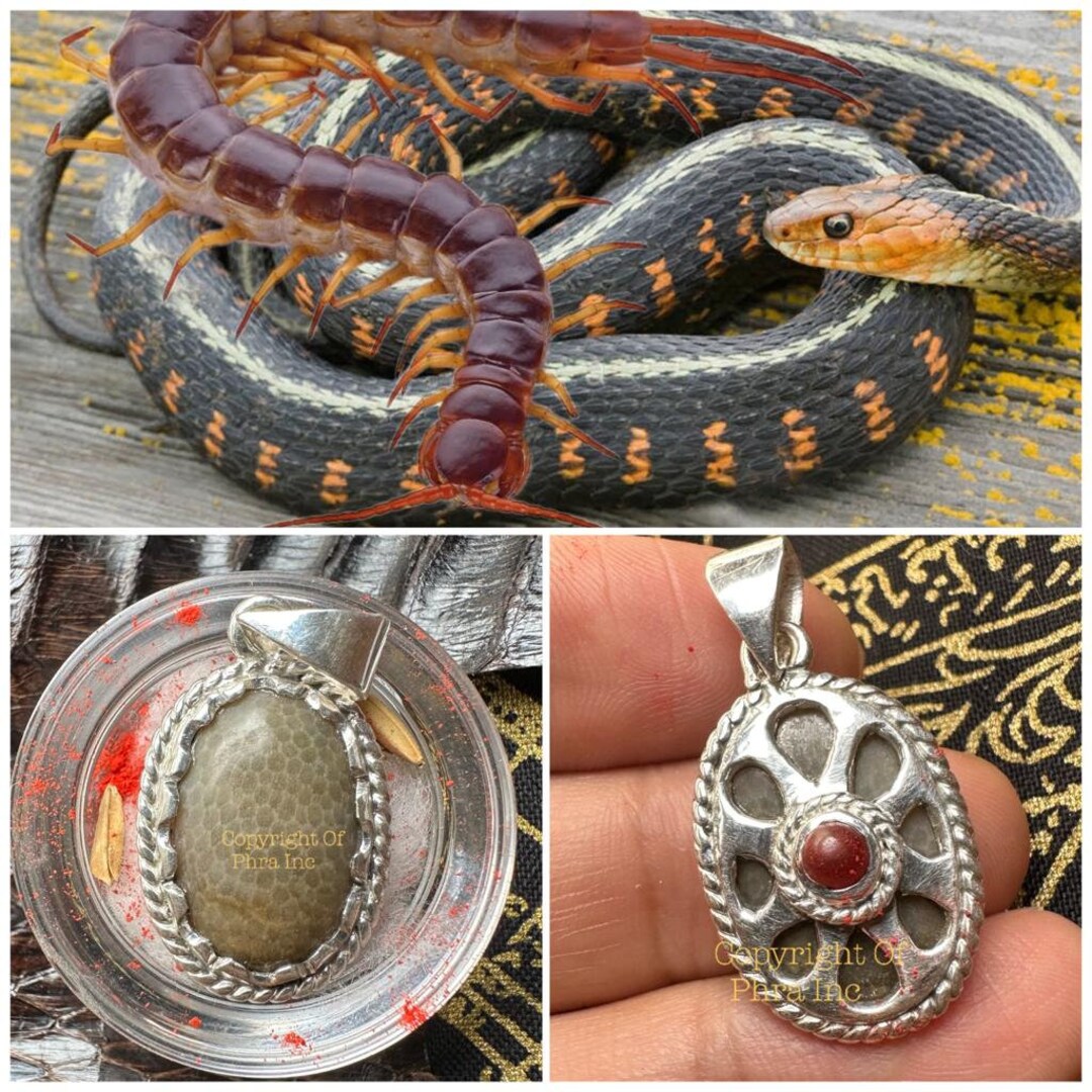Rare King Cobra Nagamani Stone Pendant 999 Silver With Centipede ...
