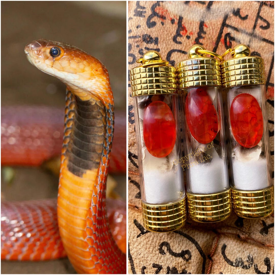 Mystical Red Cobra Pearl (nagamani) - Authentic Cobra Snake Stone ...