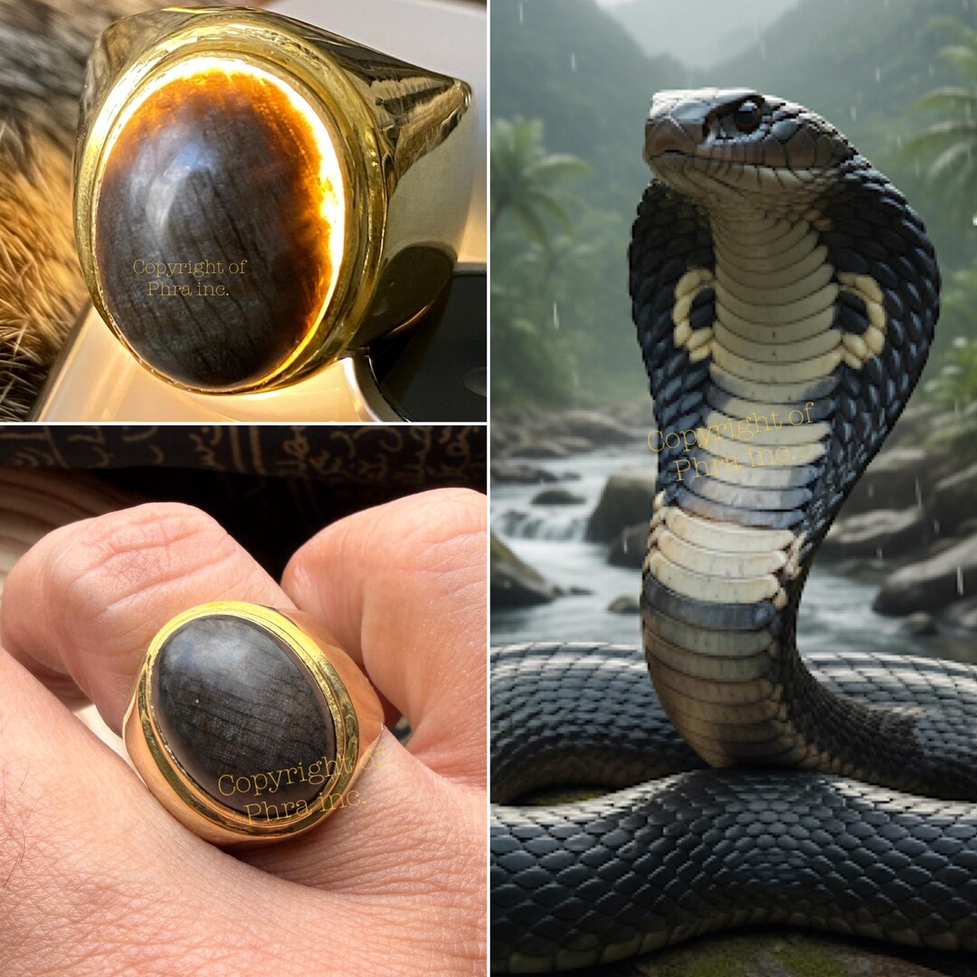 Rijkdom & enorm geluk Black Cobra Pearl "Nagamani" Mustika Bezoar Stone ...