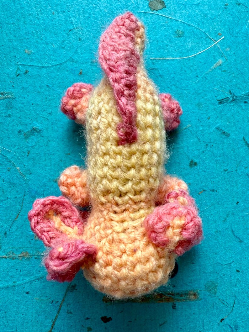 Cute Crochet Axolotl Pattern PDF - Etsy