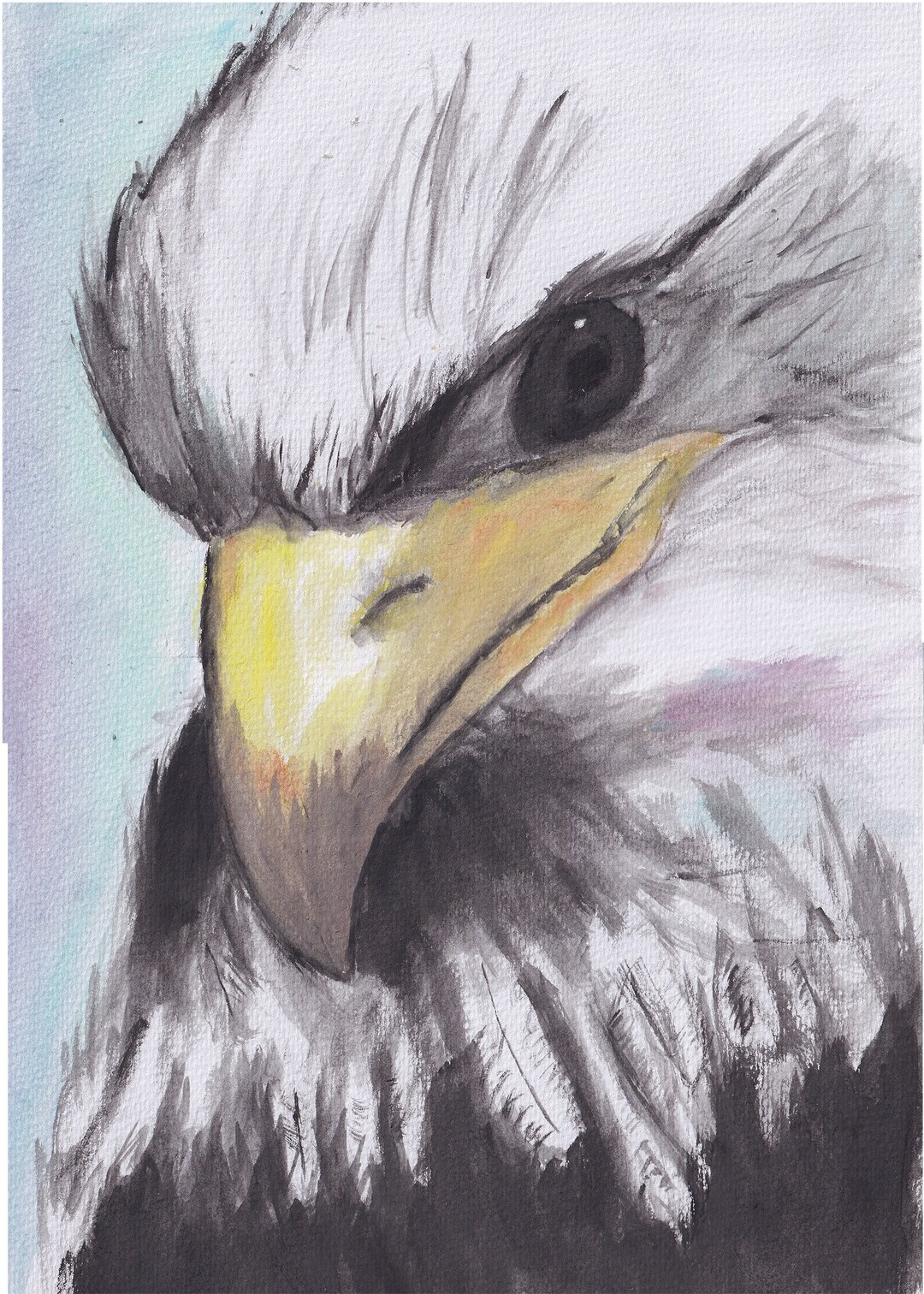 Eagle Painting, Watercolor Painting, Bird of Prey, Spirit Animal ...