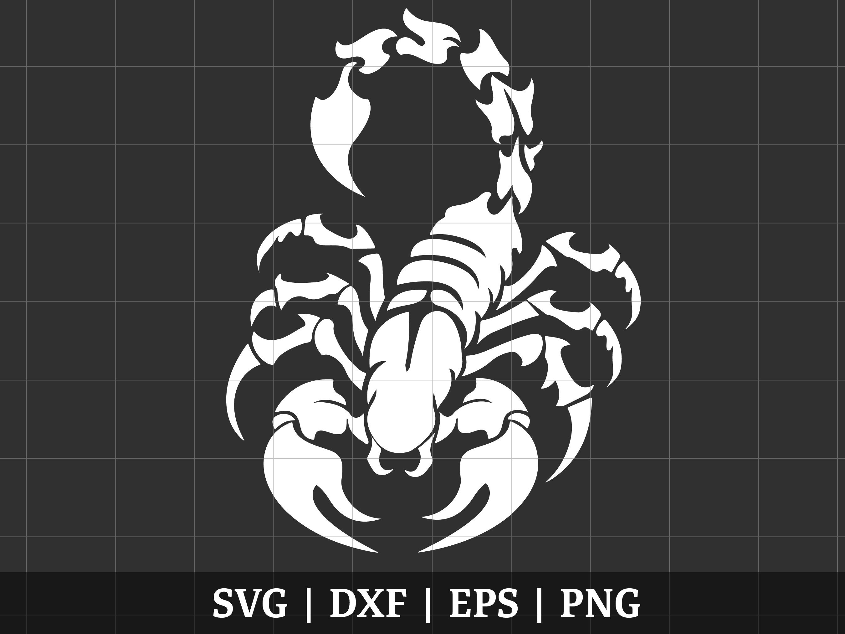 Scorpion SVG File Animal Scorpion Silhouette Cut File Black & White PNG ...