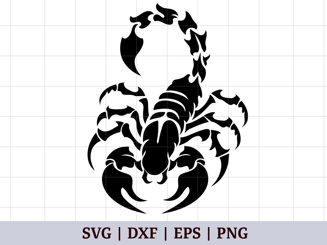 Scorpion SVG File Animal Scorpion Silhouette Cut File Black & White PNG ...