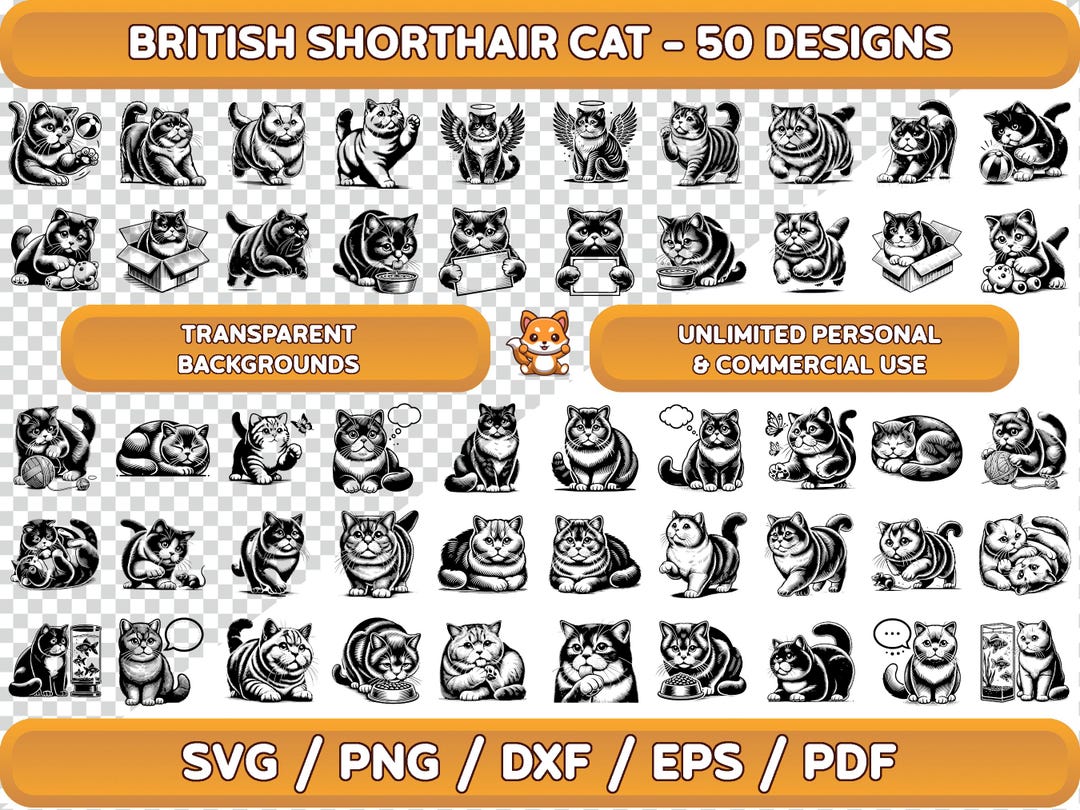 British Shorthair Cat SVG Bundle, British Shorthair Clipart, British ...