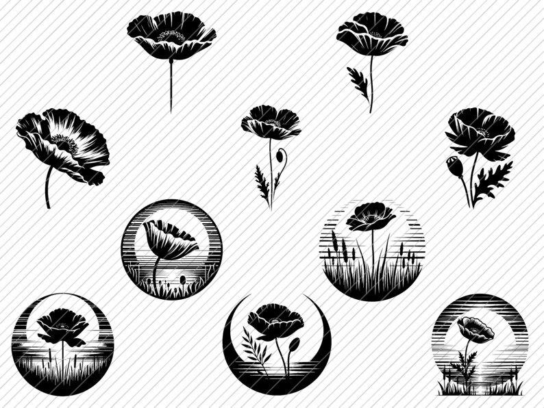 Poppy SVG Bundle: Floral Clipart, Decals (digital Download) - Etsy