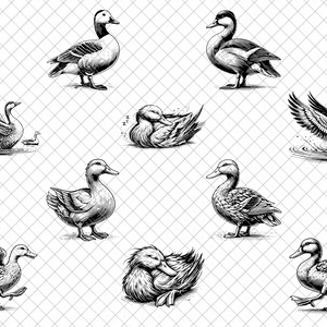 Duck SVG Bundle, Duck Clipart, Duck PNG, Duck Wall Art, Duck Digital ...