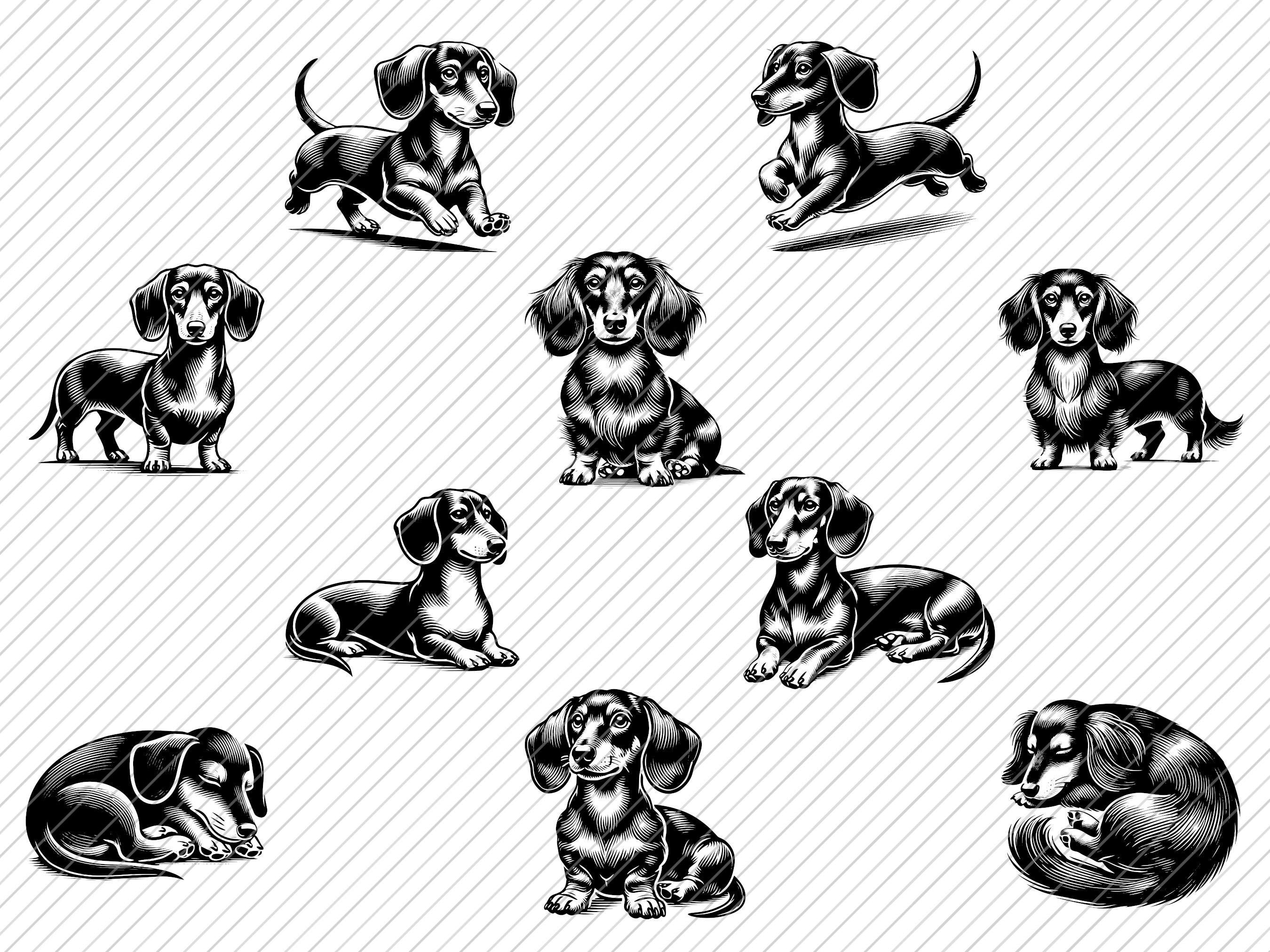 Dachshund Svg Bundle, Dachshund Clipart, Dachshund Png, Sausage Dog Svg ...