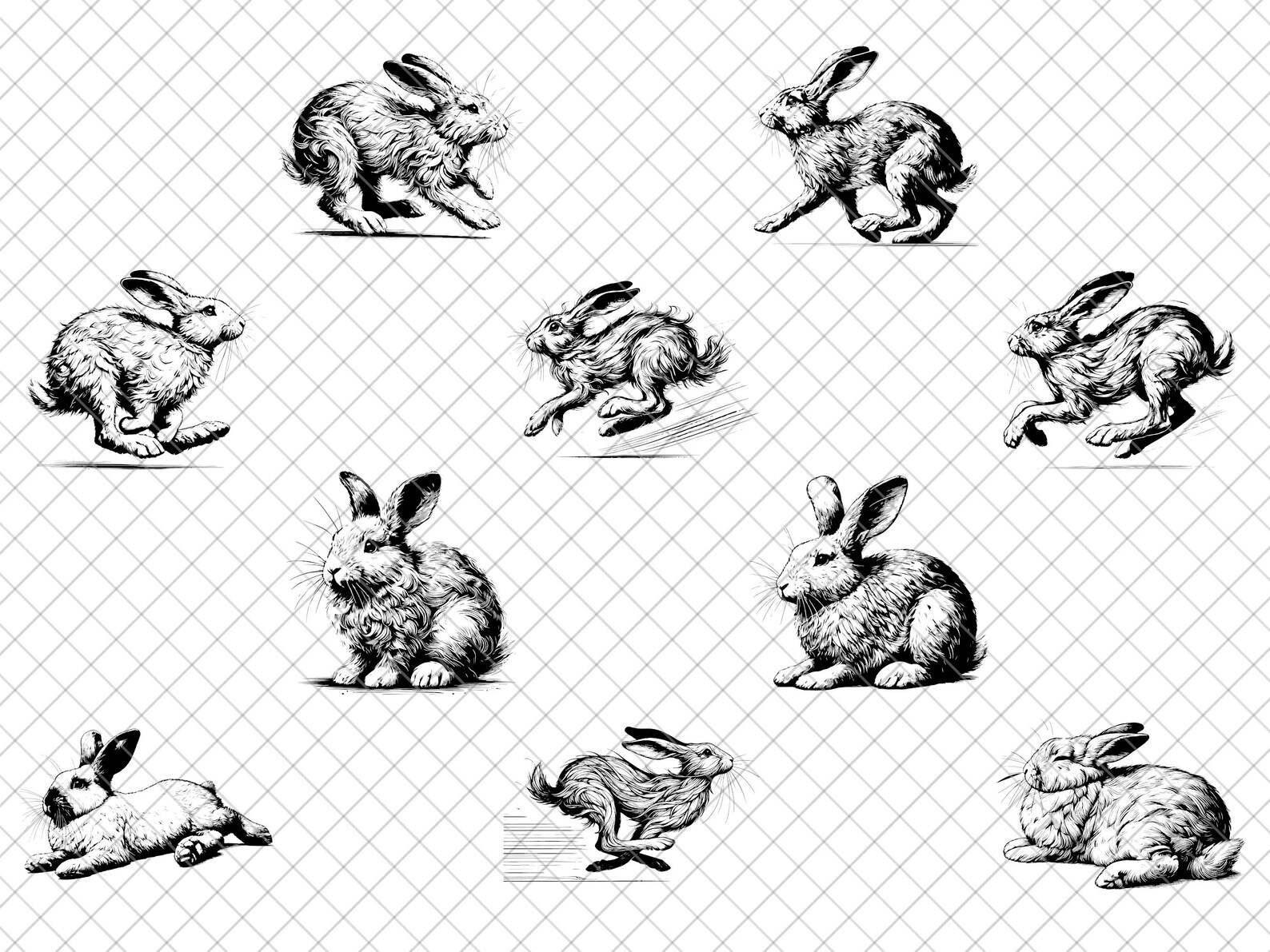 Rabbit SVG Bundle, Rabbit Clipart, Rabbit PNG, Rabbit Wall Art, Rabbit ...