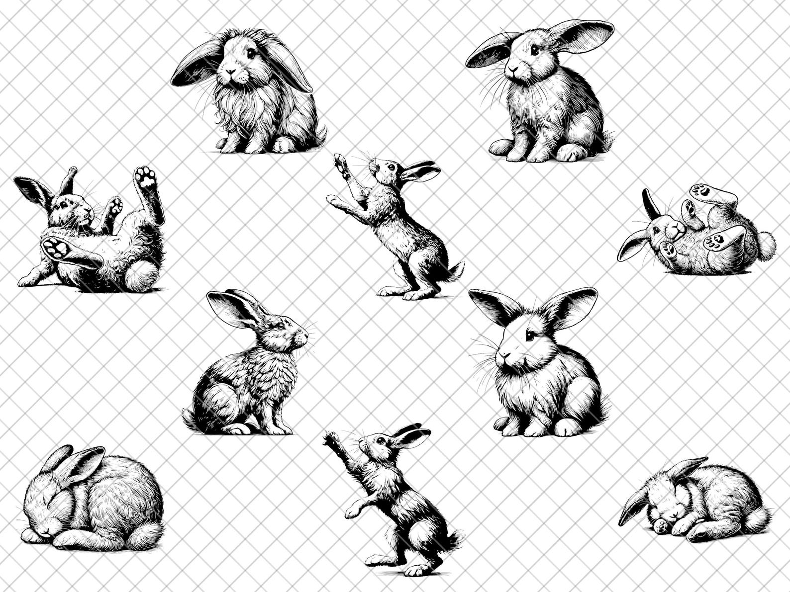 Rabbit SVG Bundle, Rabbit Clipart, Rabbit PNG, Rabbit Wall Art, Rabbit ...