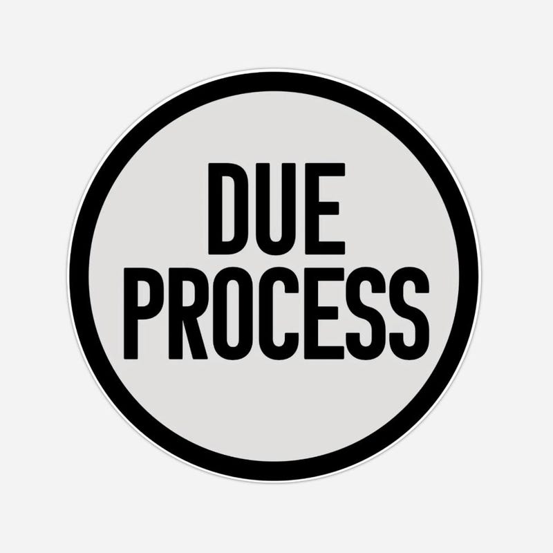 Due Process Protest Sign - Etsy